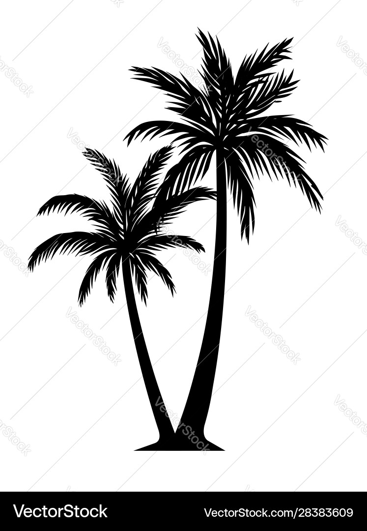Palm Trees Outline