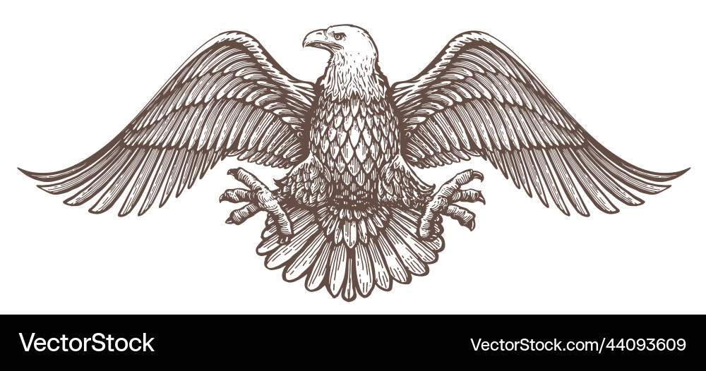 Royal Bald Eagle Emblem Royalty Free Vector Image