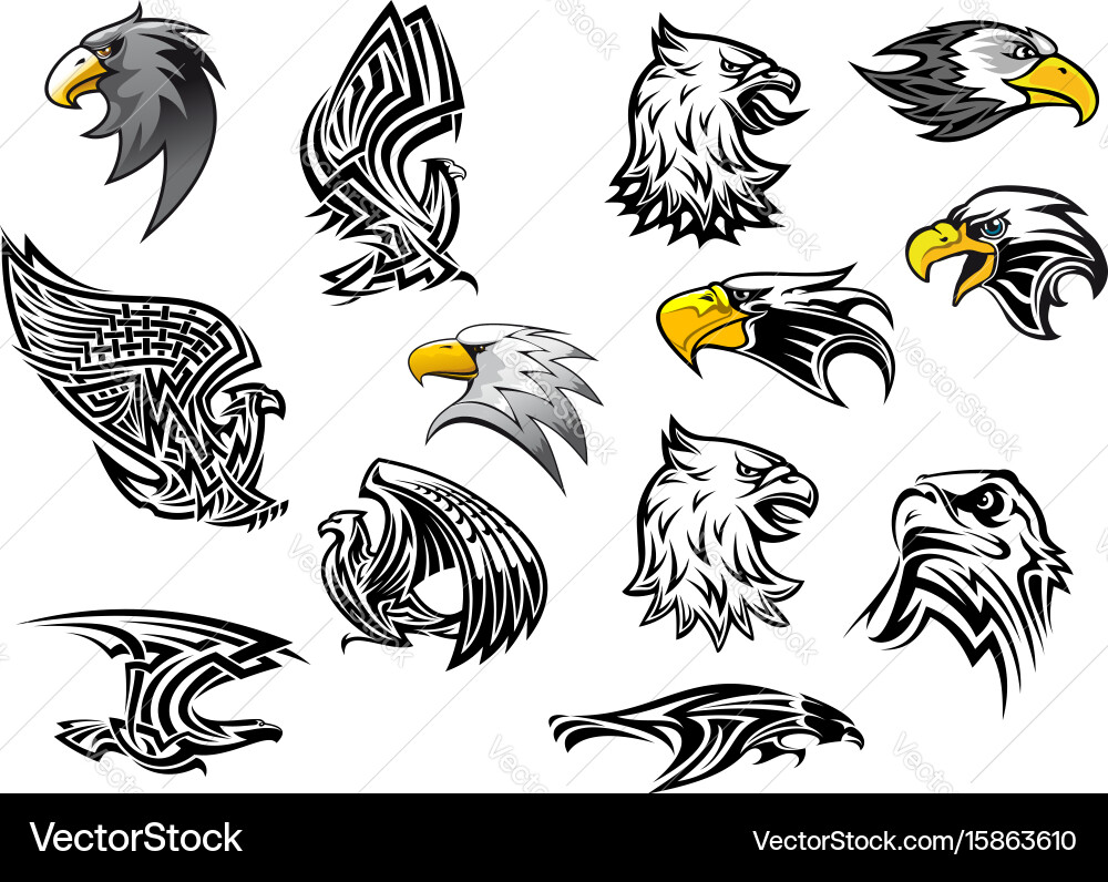 Hawk Head Vector
