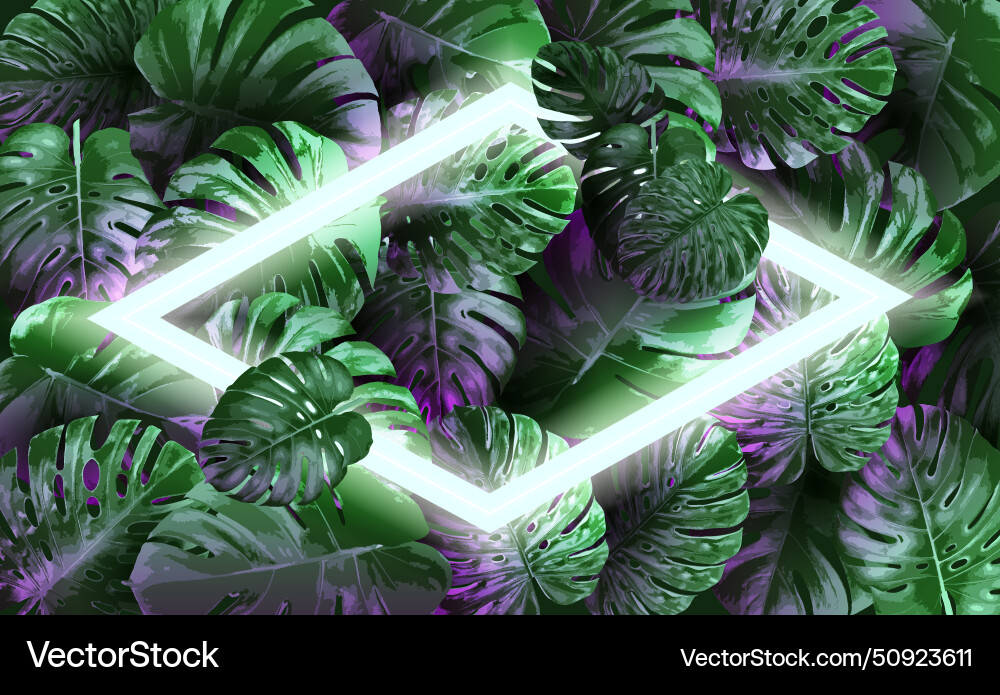 Background for a presentation on ecology tropical Vector Image