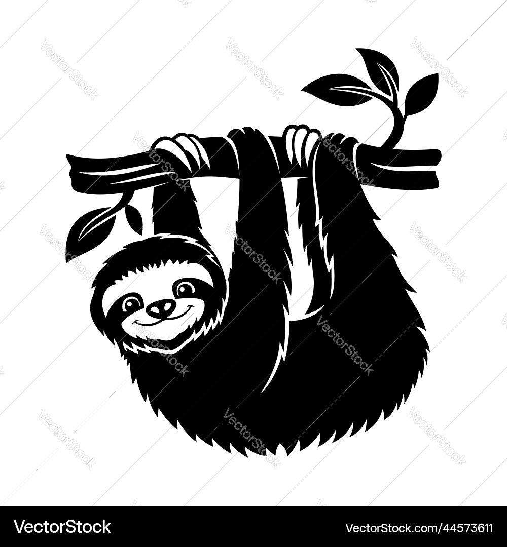 Cute animal sloth on a tree branch Royalty Free Vector Image