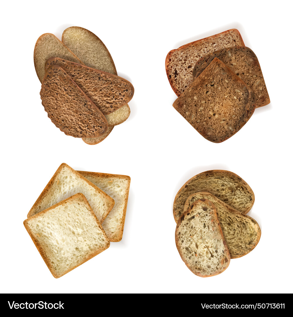 Different bread slices set Royalty Free Vector Image