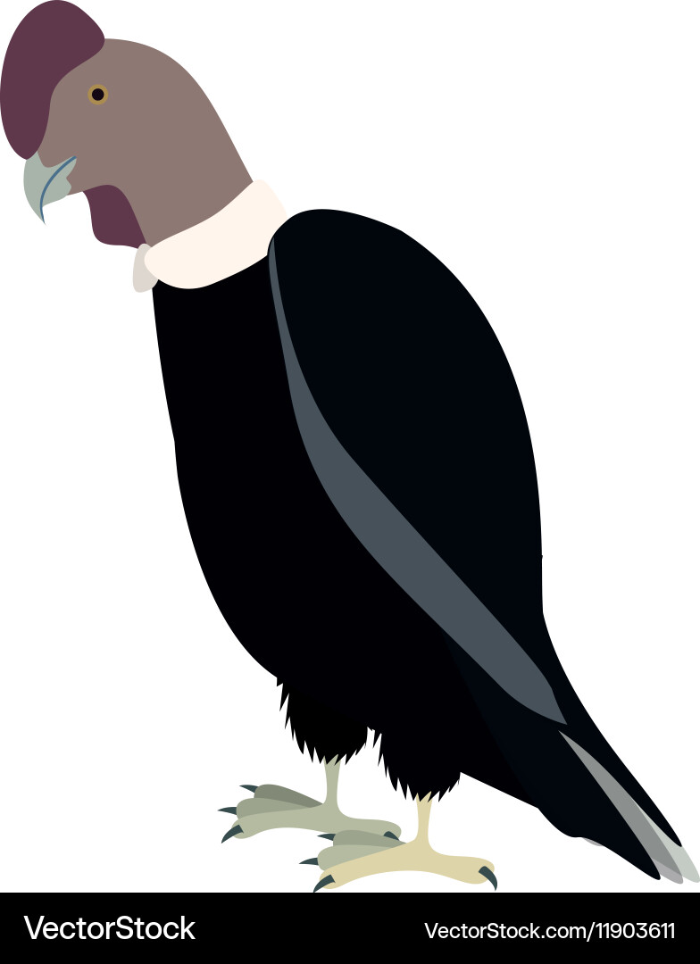 Silhouette condor animal bird icon Royalty Free Vector Image