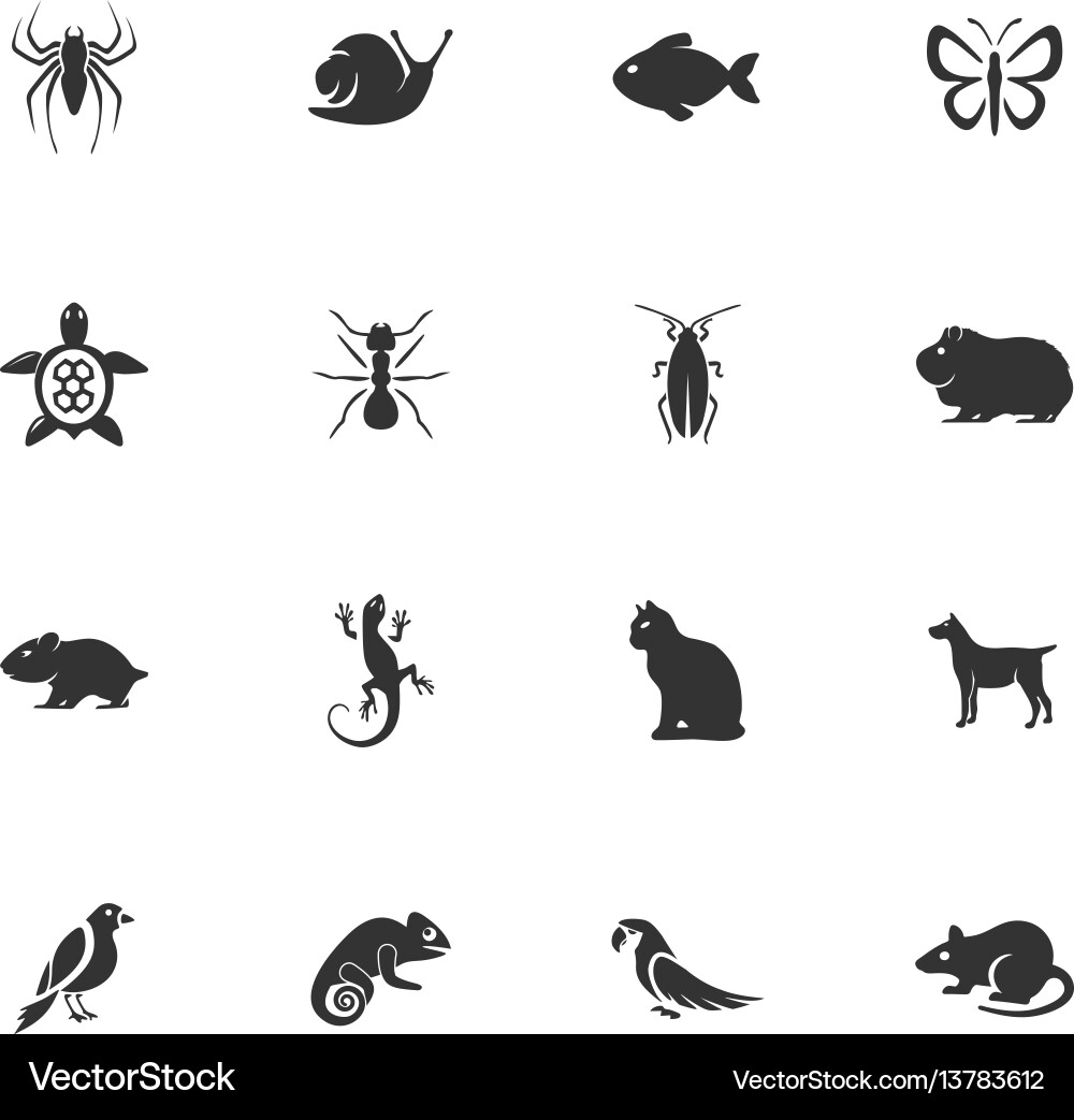 Pet Animal Icons Collection Royalty Free Vector Image