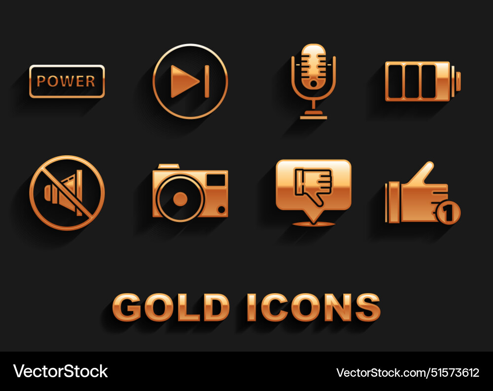 Set photo camera battery charge level indicator Vector Image