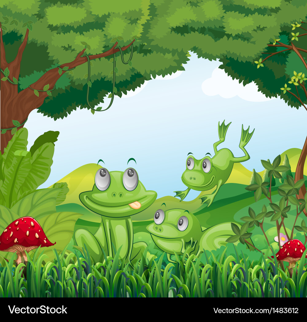 Three frogs at the forest Royalty Free Vector Image