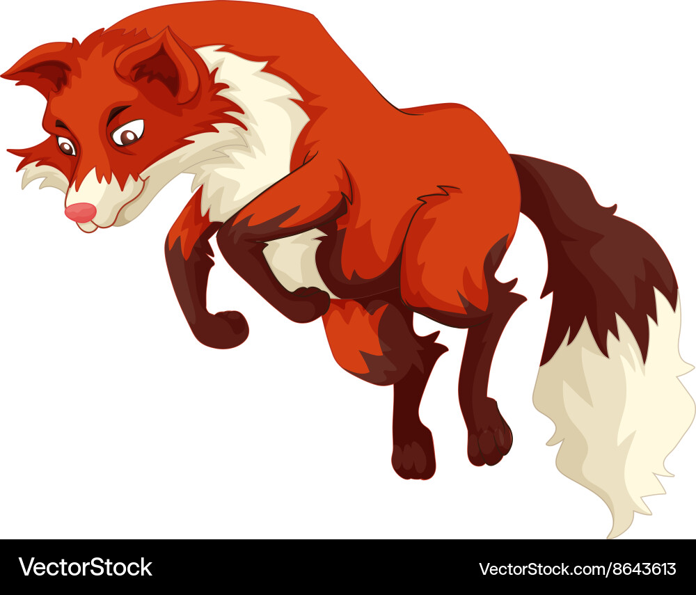 Red fox jumping up Royalty Free Vector Image - VectorStock
