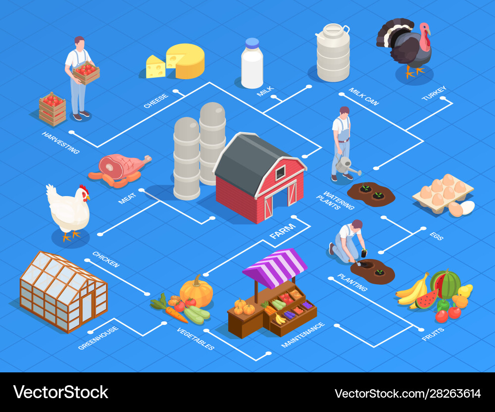 Local farm isometric flowchart Royalty Free Vector Image