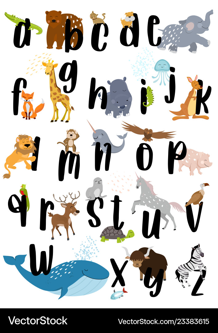 Xray Alphabet Vector Images (over 100)