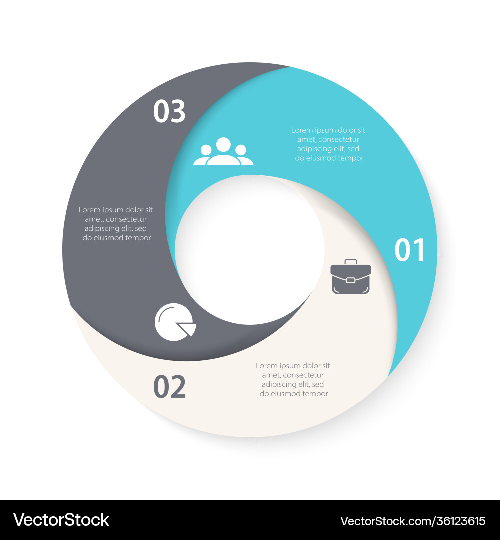 Circle infographic template Royalty Free Vector Image