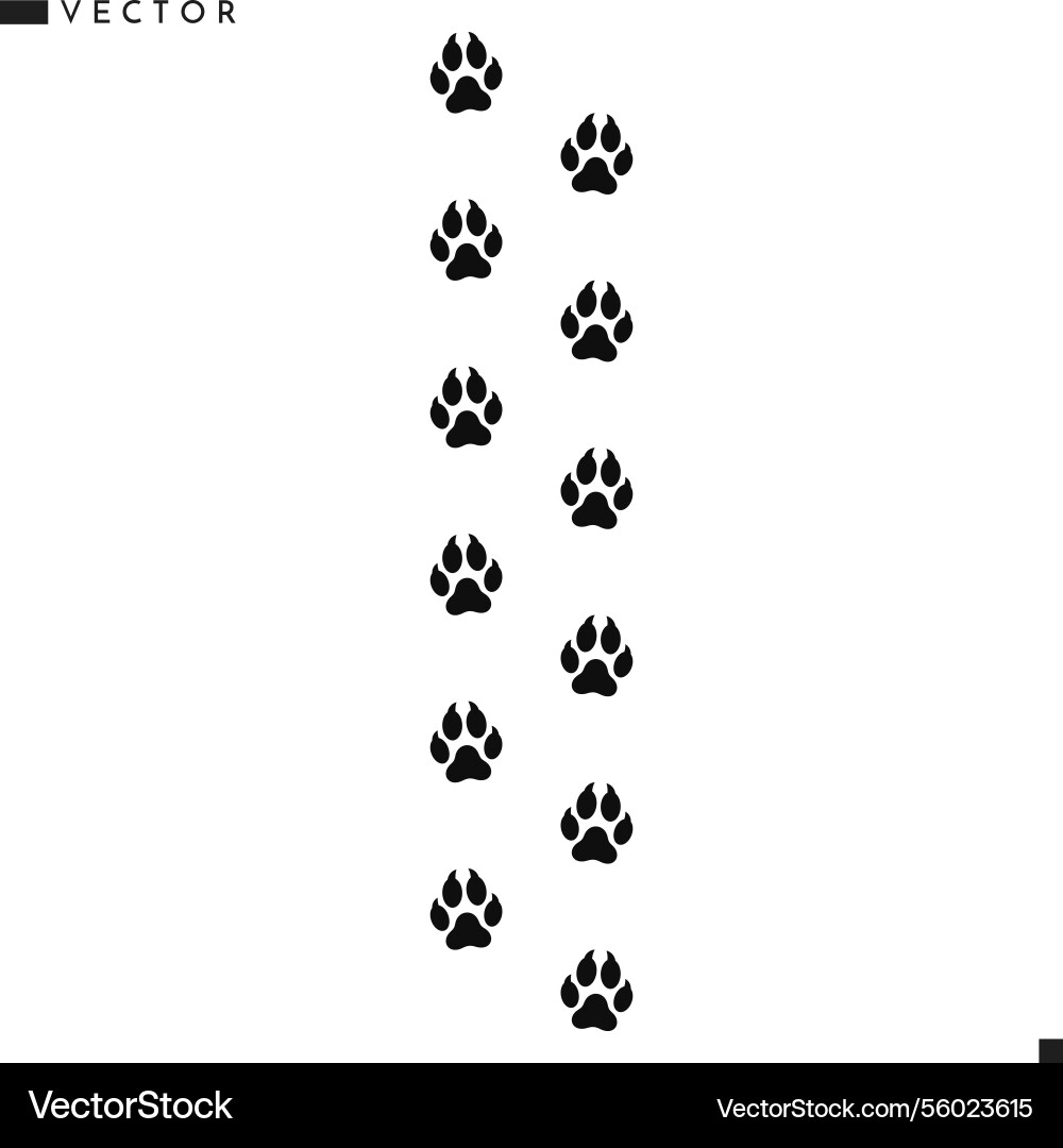 Fox paw prints Royalty Free Vector Image - VectorStock