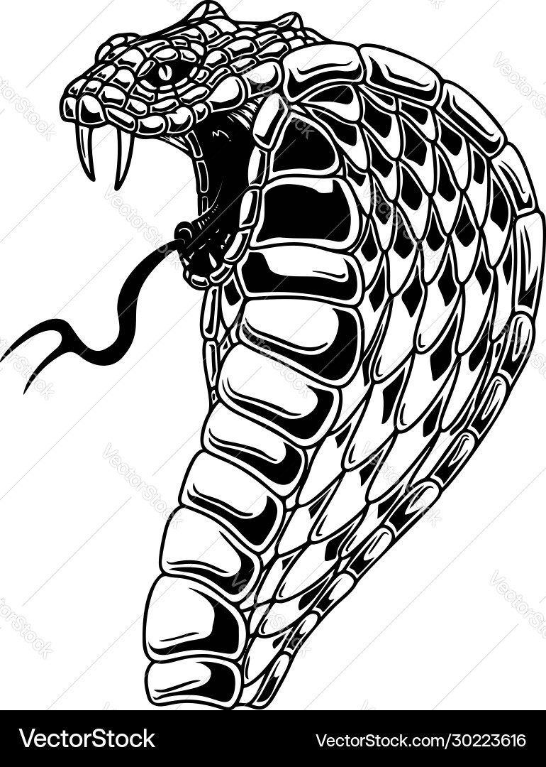 Cobra snake design element for poster card banner Vector Image