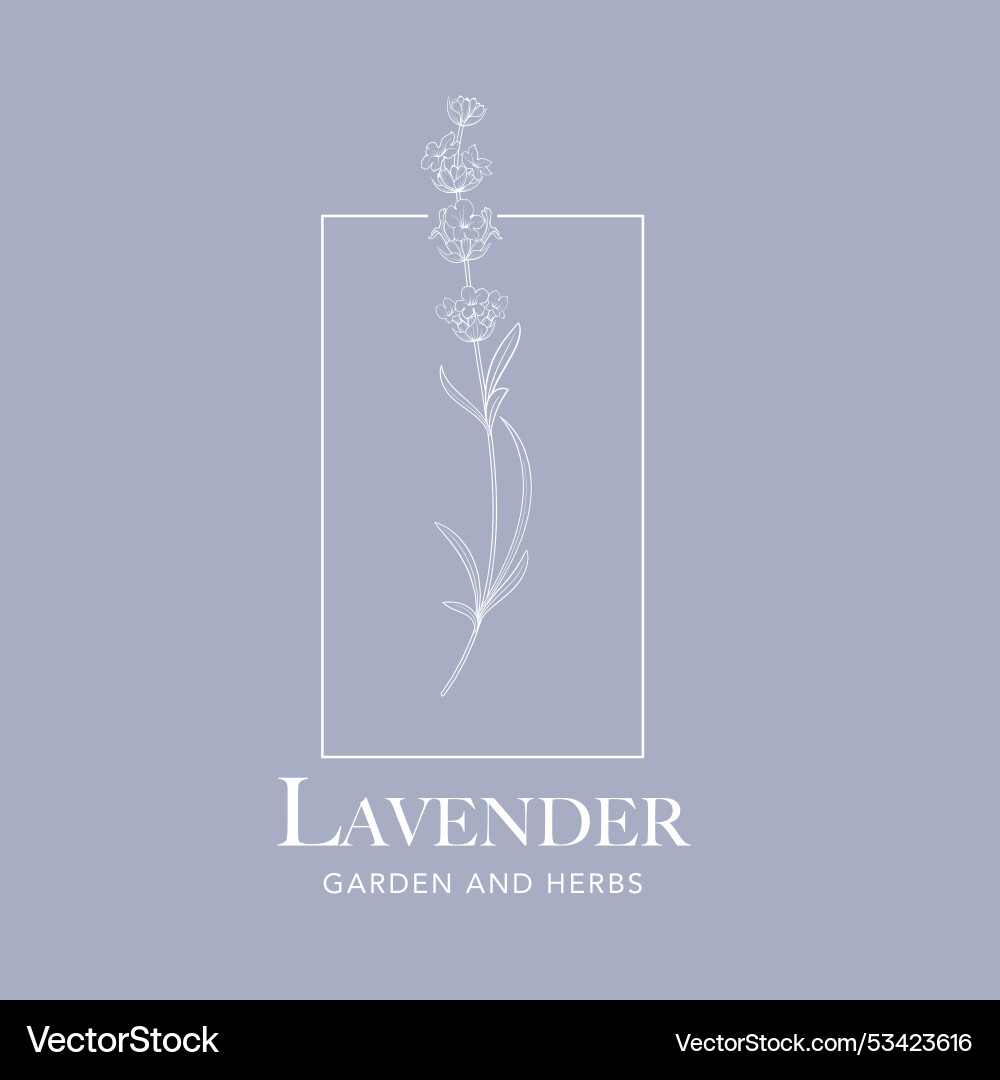 Lavender flower logo floral design label Vector Image