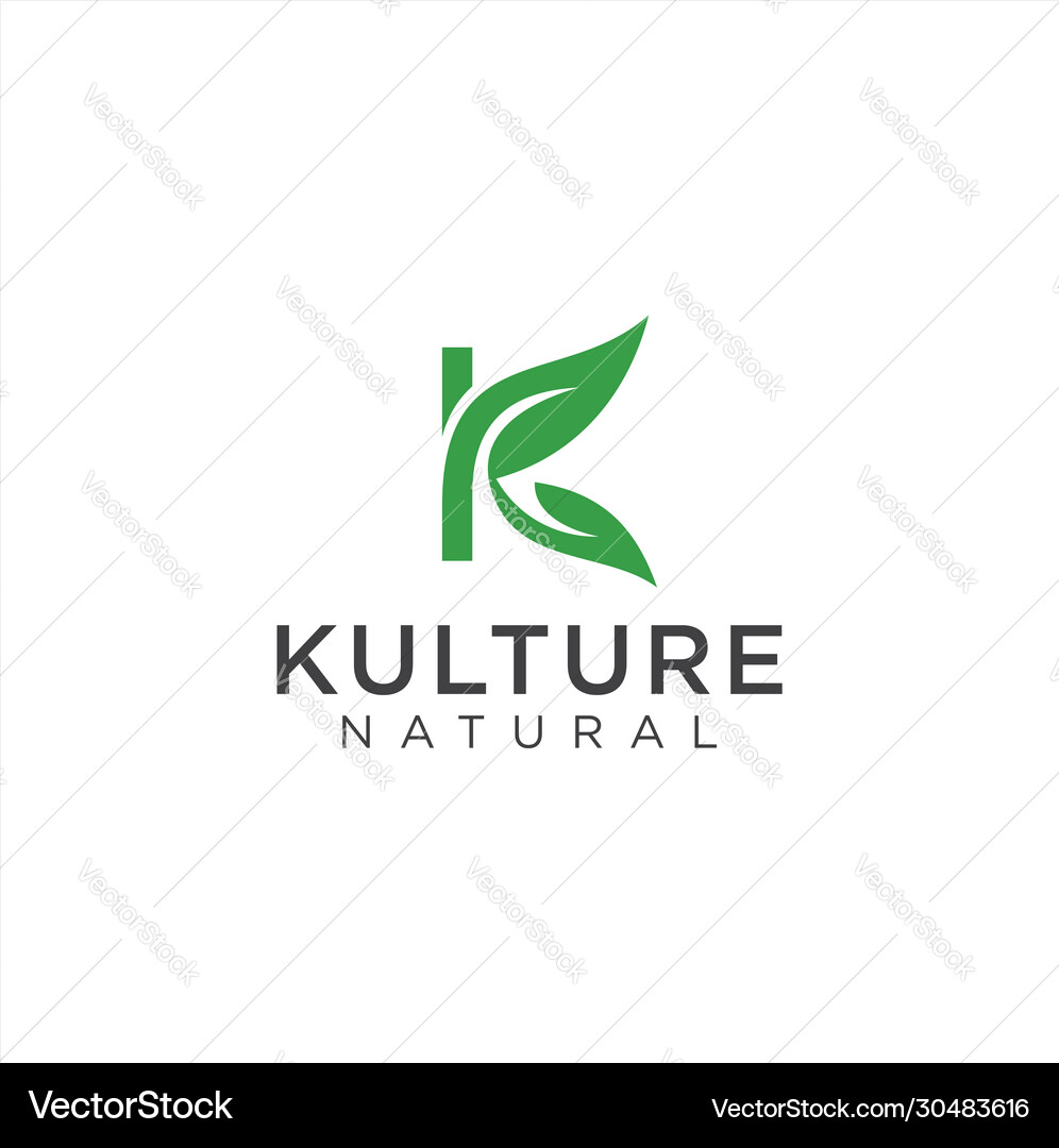 Letter k leaf logo natural organic icon Royalty Free Vector
