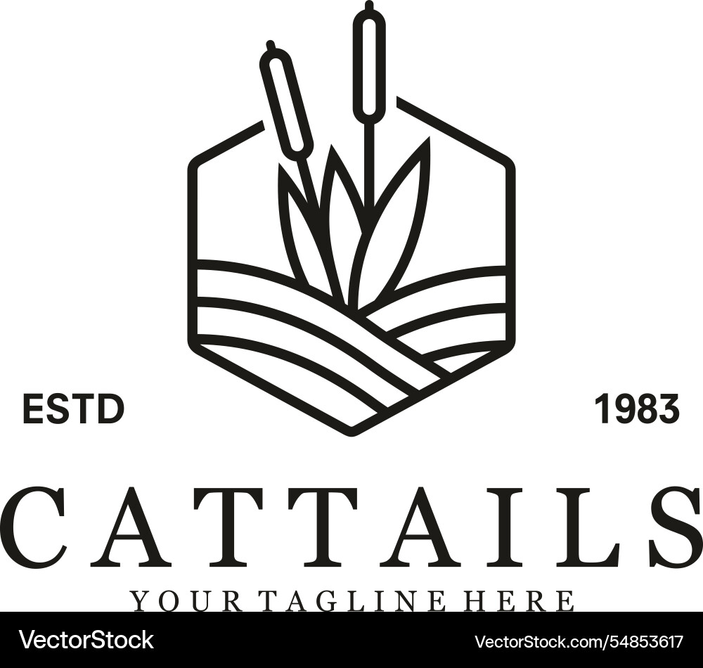 Cattails plant template reed grass water Vector Image