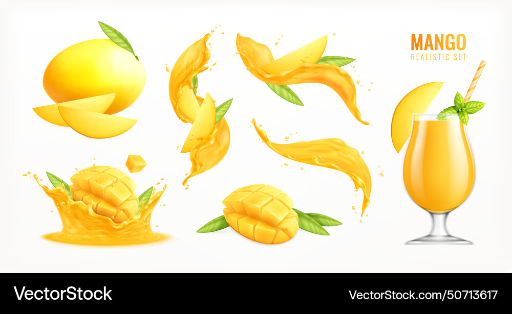 Mango realistic set Royalty Free Vector Image - VectorStock
