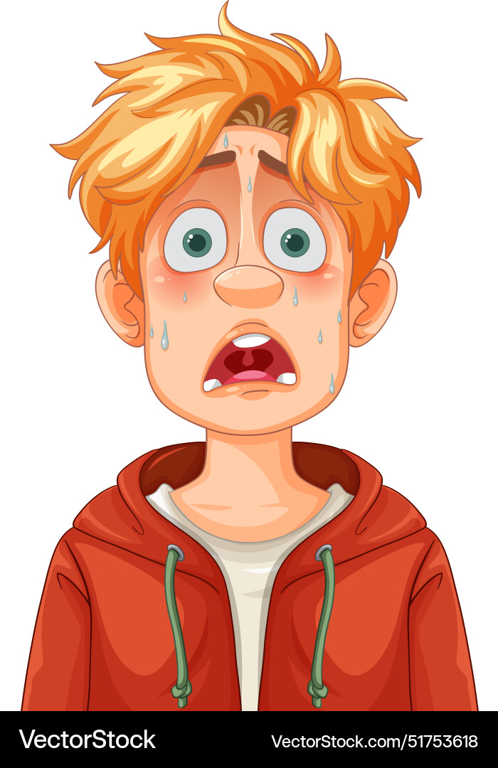 A boy with a shocked expression Royalty Free Vector Image