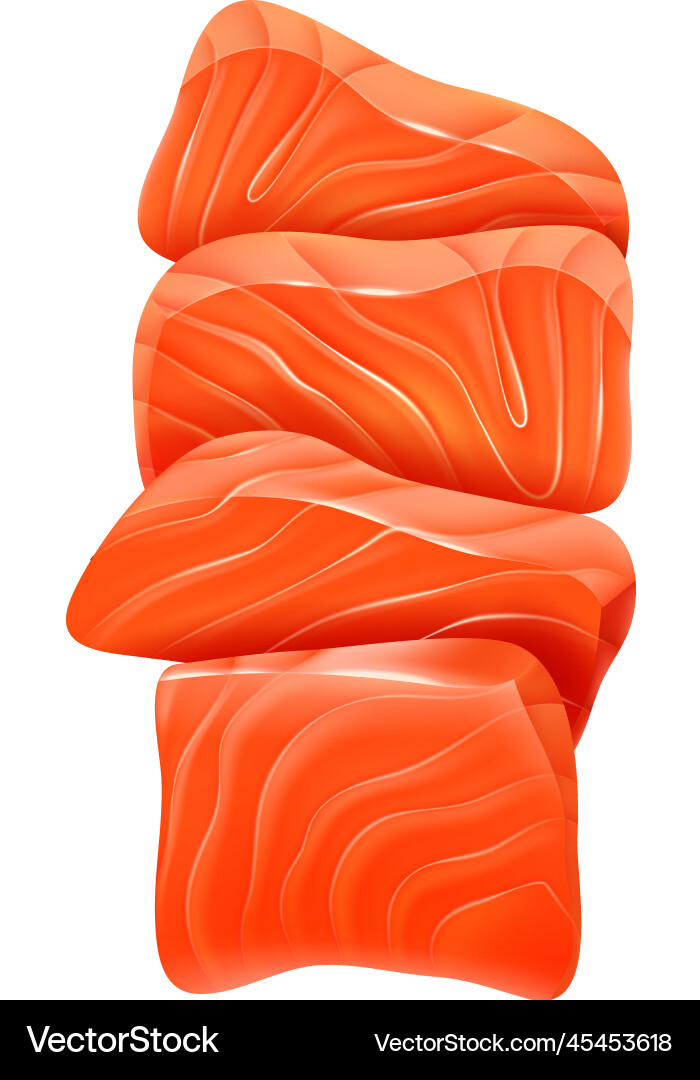 Salmon fillet Royalty Free Vector Image - VectorStock