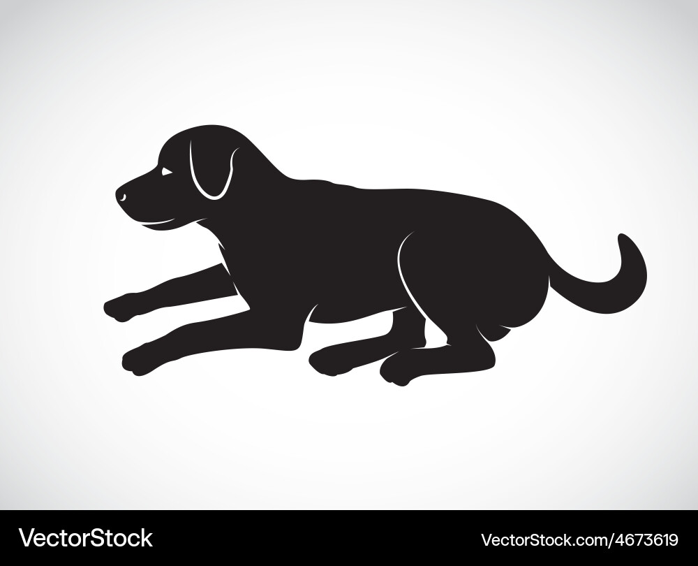 Image of an dog labrador Royalty Free Vector Image