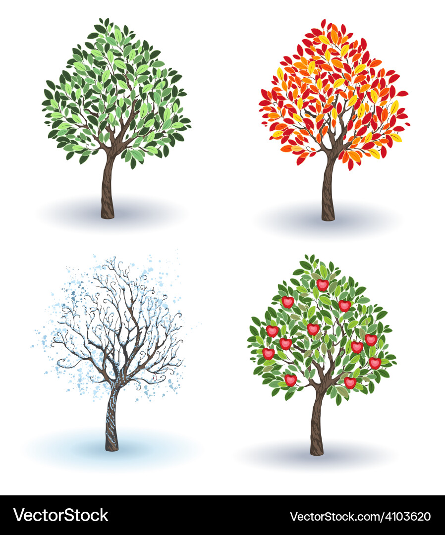 Apple Tree Seasons Collection Royalty Free Vector Image