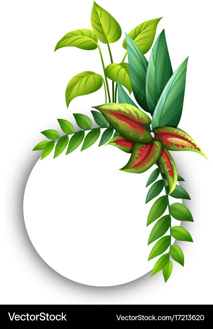 Border template with green leaves Royalty Free Vector Image