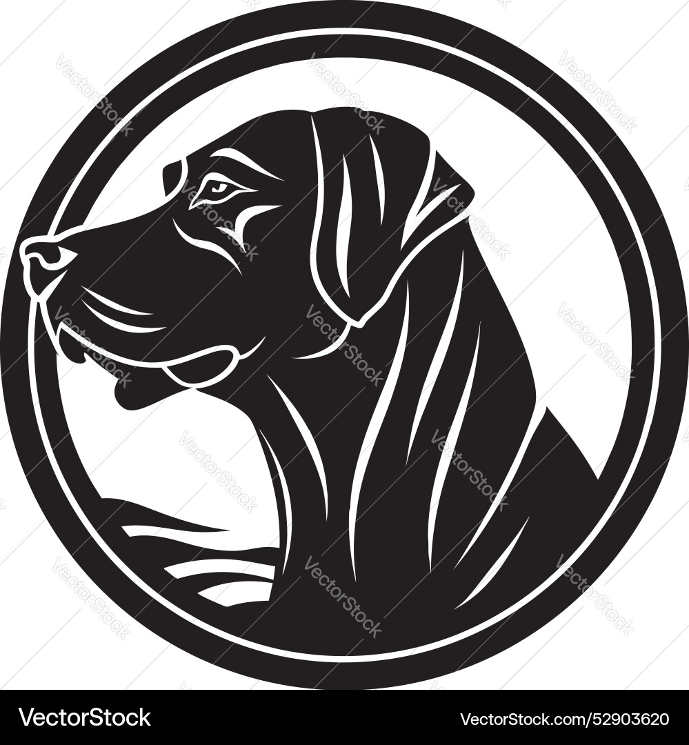 Irish setter design english springer spaniel Vector Image
