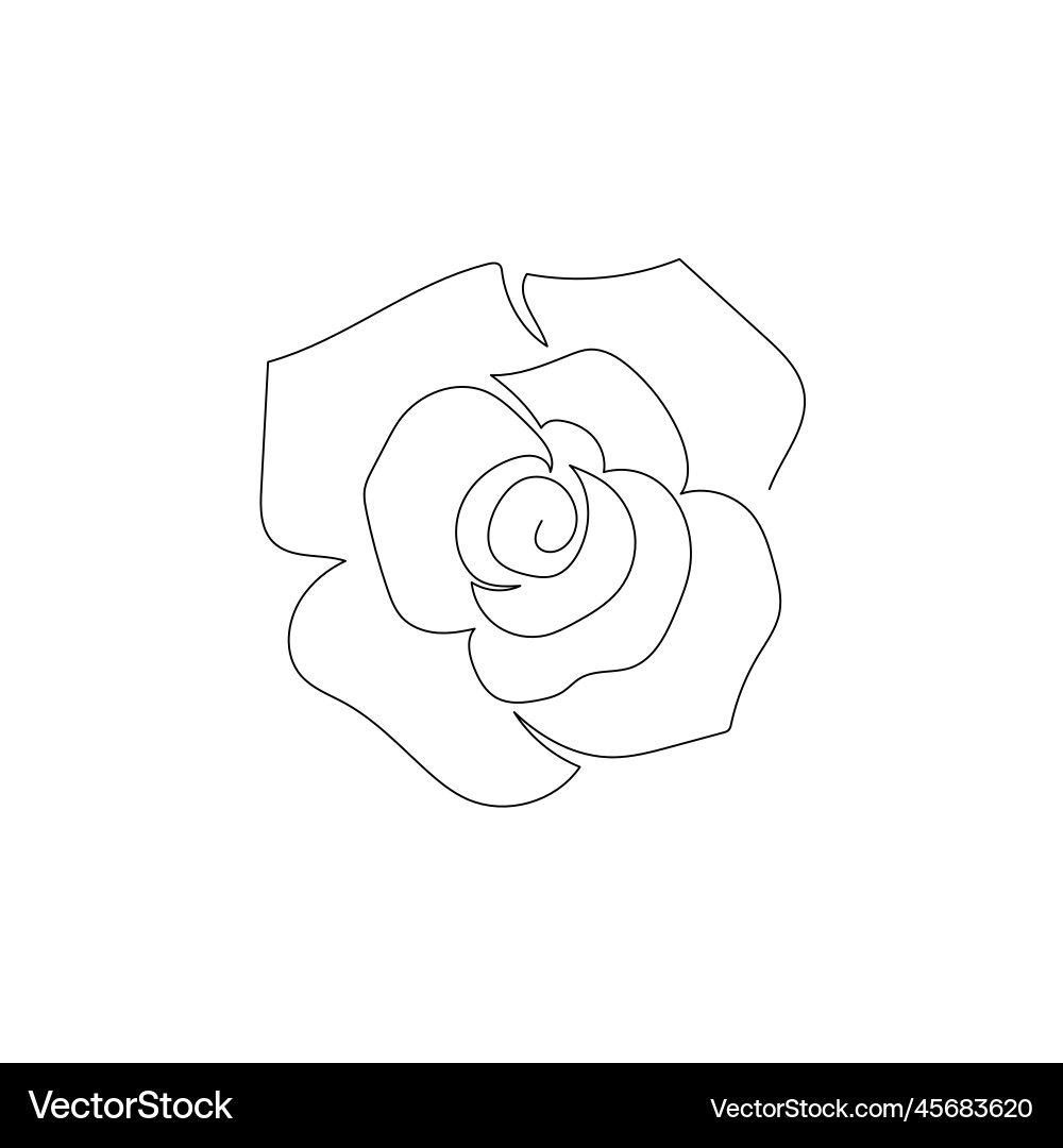 Outline rose flower logo one continuous line art Vector Image