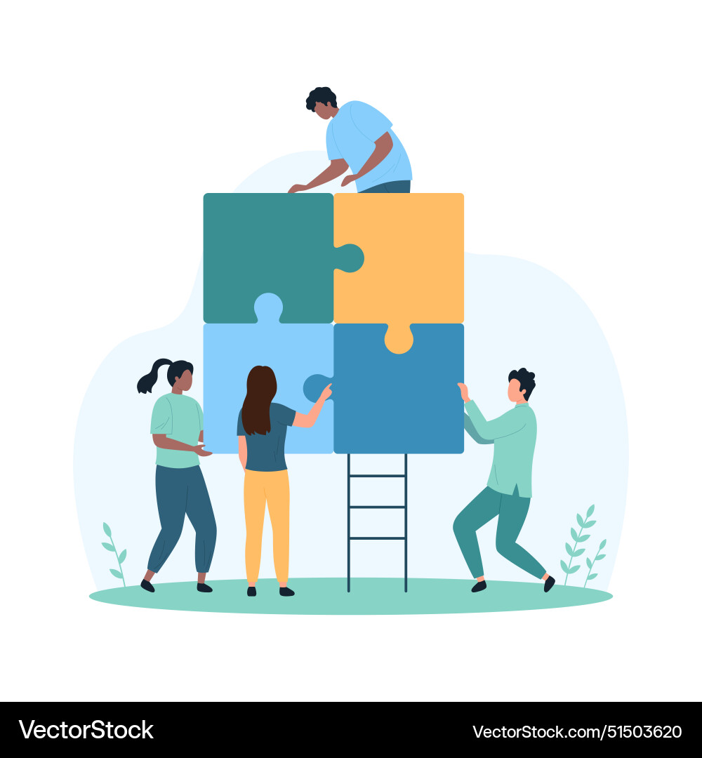 Solution and creative project organization Vector Image