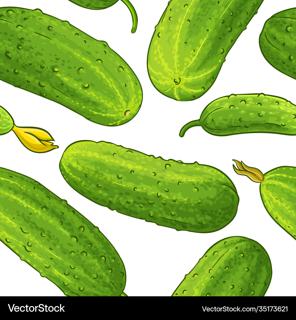 Cucumber Pattern - Fresh & Vibrant Royalty Free Vector