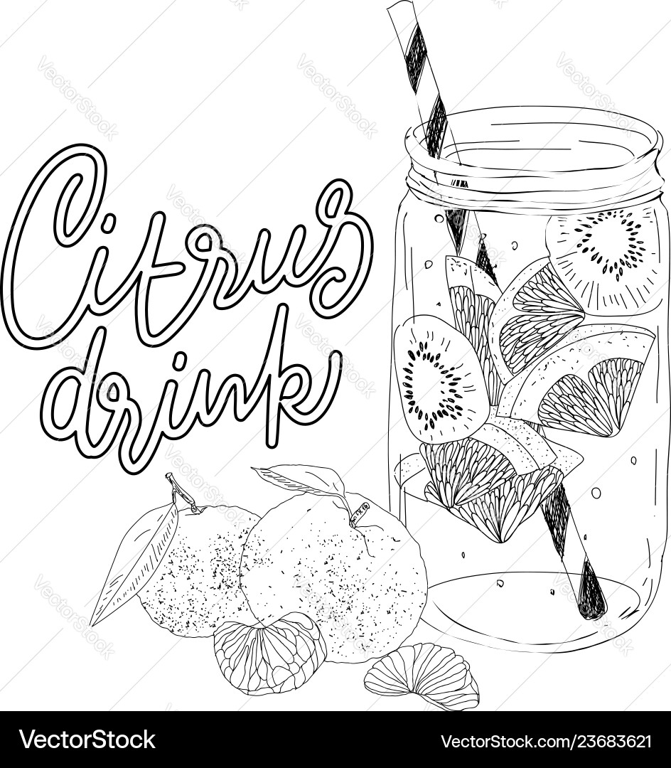 Hand drawn summer ice drink with cittrus Vector Image