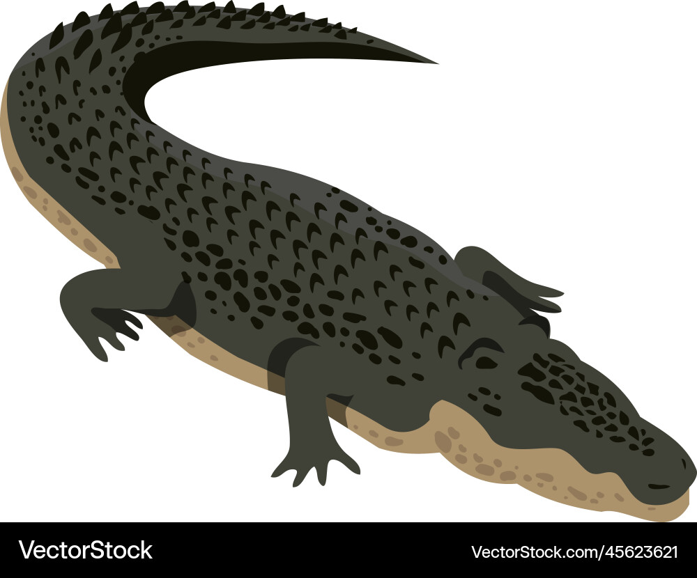 Isometric crocodile Royalty Free Vector Image - VectorStock