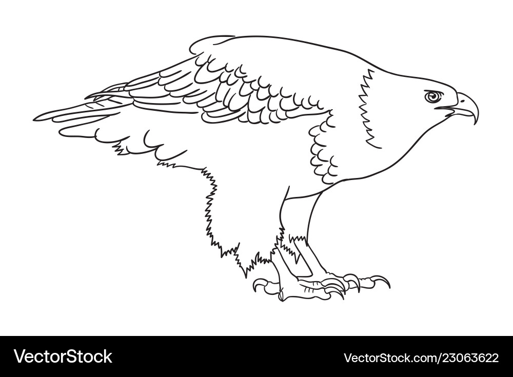 Eagle line art 09 Royalty Free Vector Image - VectorStock