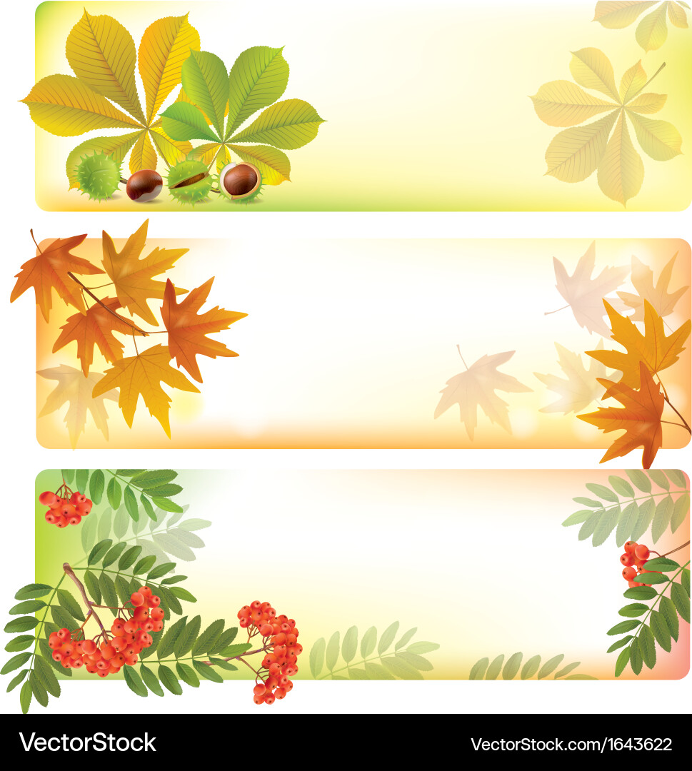 Horizontal autumn banners Royalty Free Vector Image