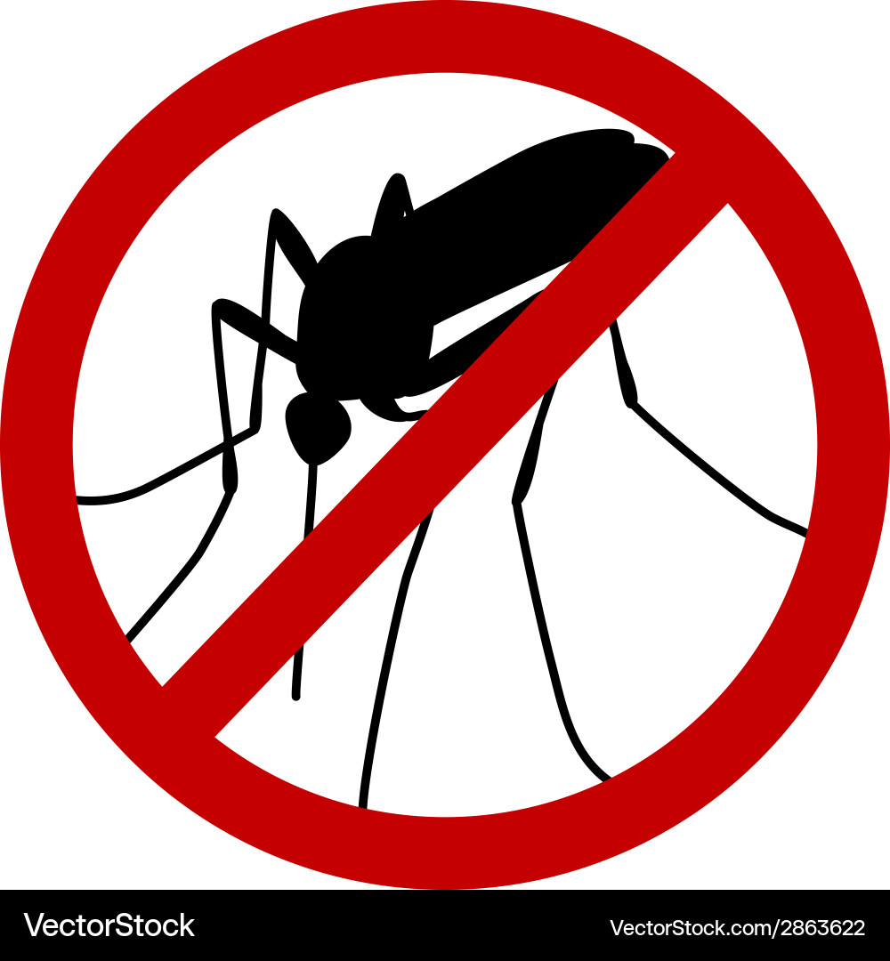 No Mosquito Sign Royalty Free Vector Image - VectorStock
