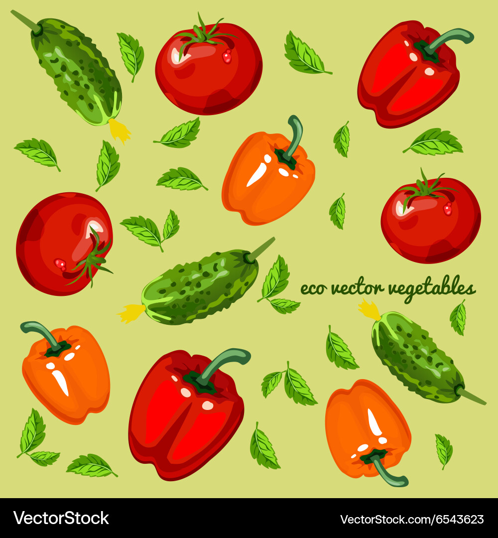Eco vegetables mix on a green background Vector Image