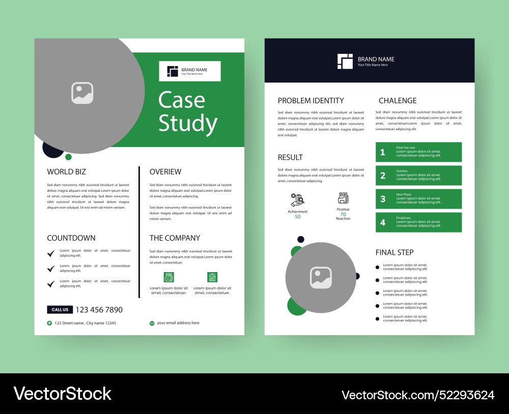 Business case study layout flyer Royalty Free Vector Image
