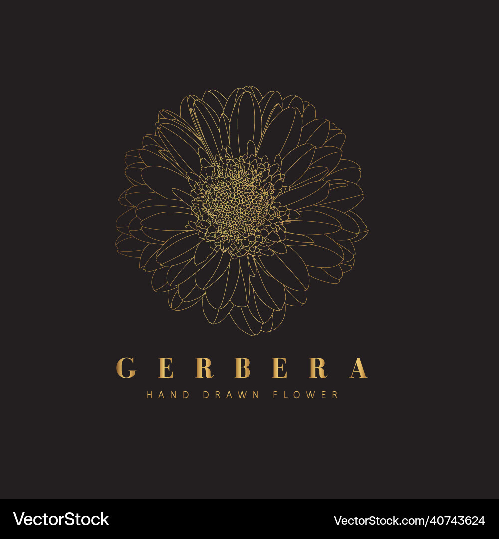 Gerbera Logo