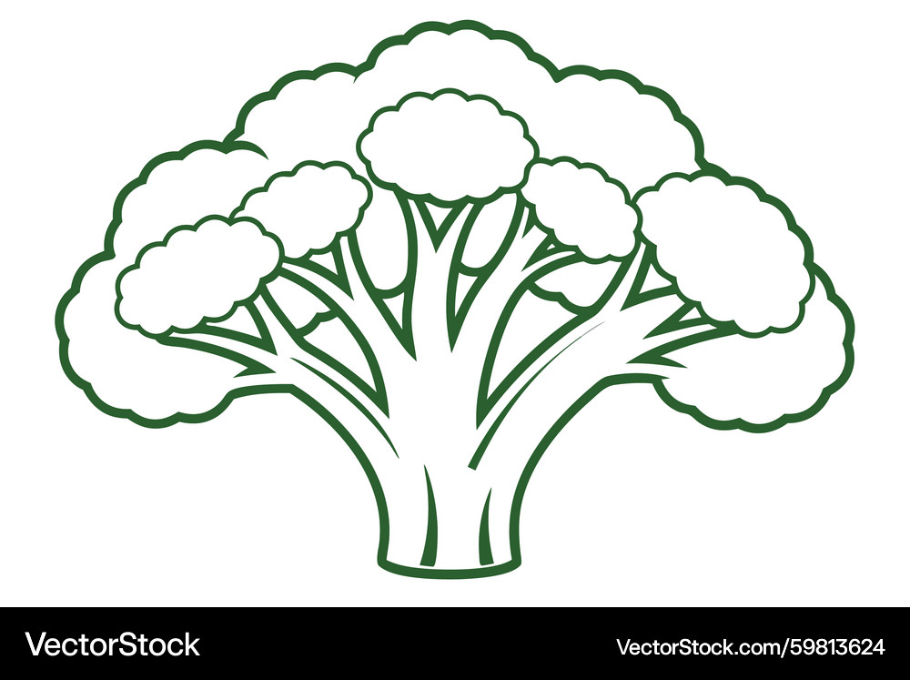 Green Broccoli Outline Icon Royalty Free Vector Image