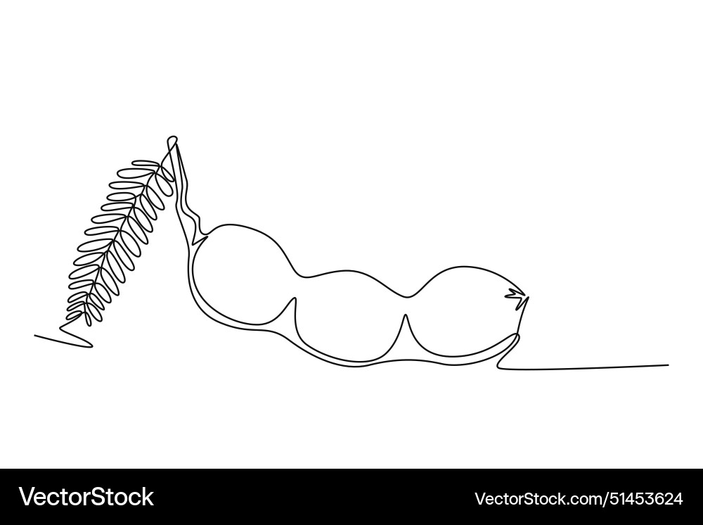 Single continuous line drawing of whole healthy Vector Image
