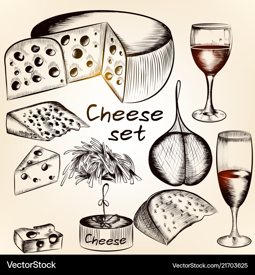 Collection of hand drawn cheese assorted Vector Image