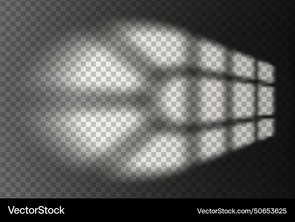 Light effect shadow overlay from arched window Vector Image Light effect shadow overlay from arched window Vector Image