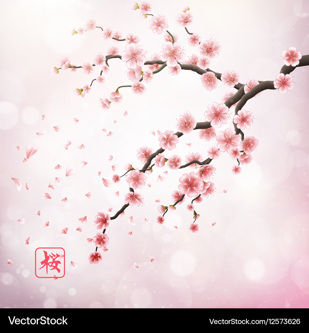 Realistic japan cherry branch eps 10 Royalty Free Vector