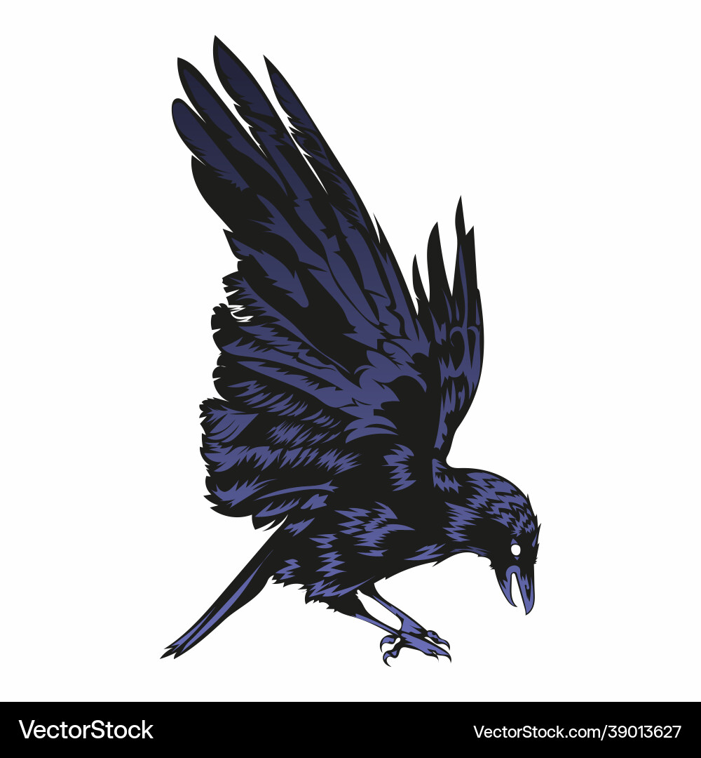 Dark Crow Vector Art Royalty Free Vector Image