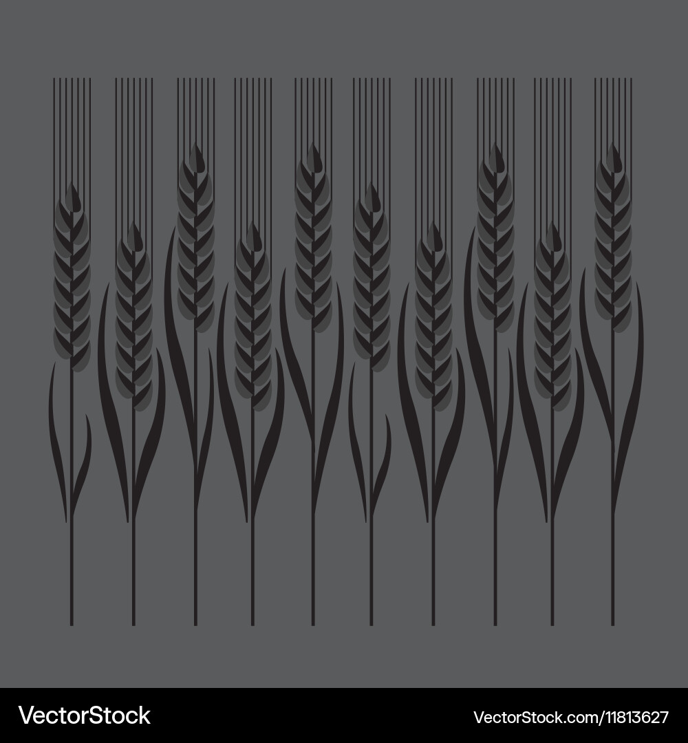 Elegant Wheat Pattern Royalty Free Vector Image