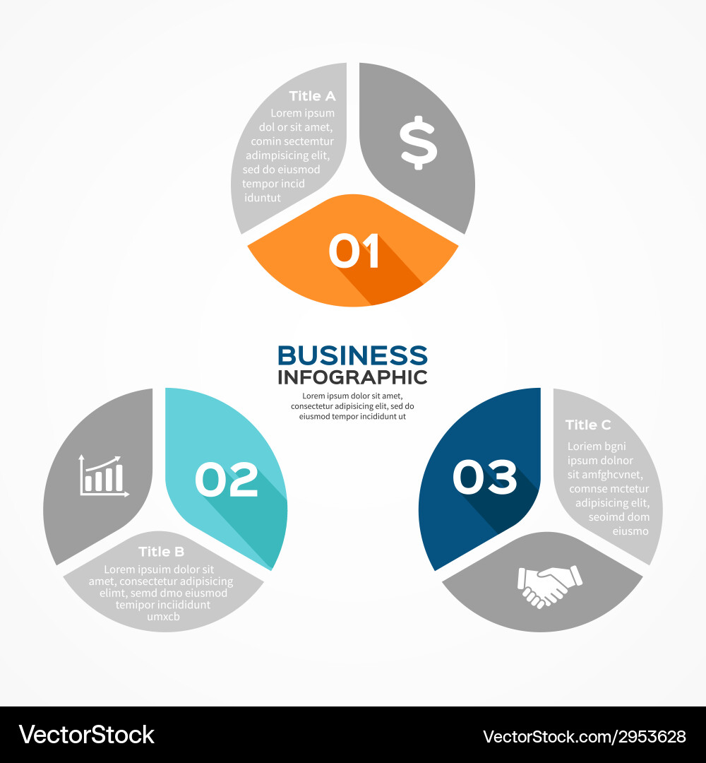 Circle infographic template for diagram graph Vector Image