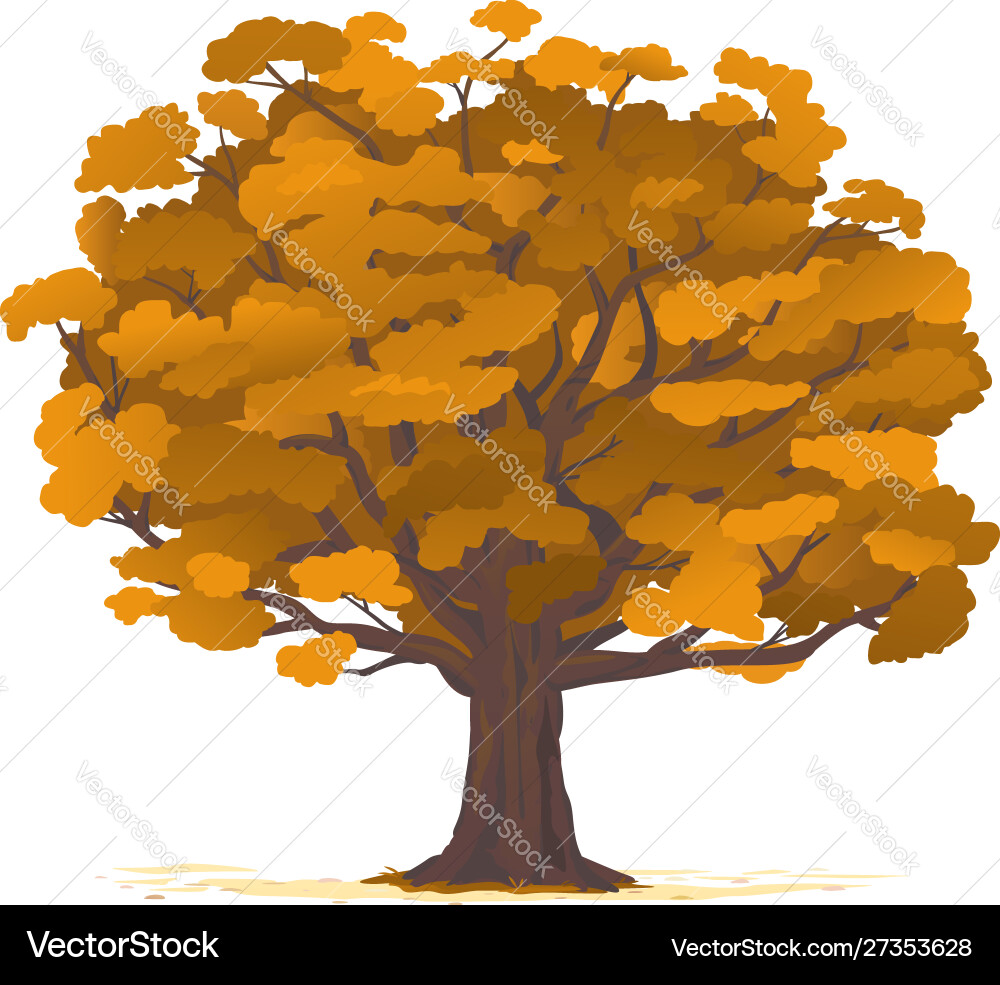 Majestic Autumn Oak Tree Royalty Free Vector Image