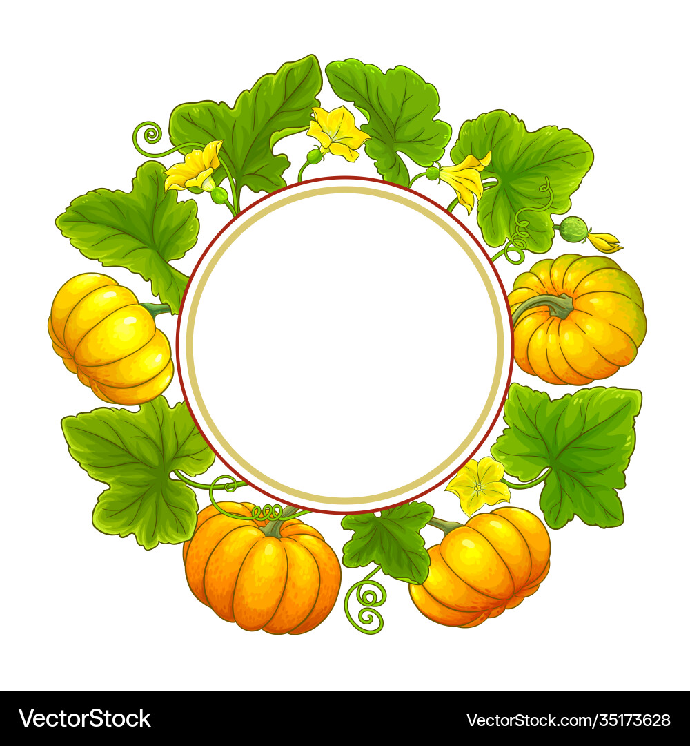 Pumpkin plant frame on white background Royalty Free Vector