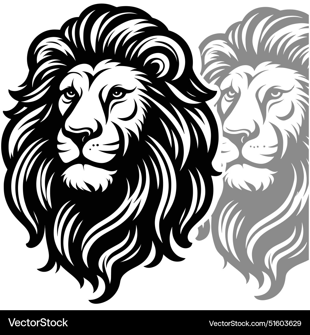 Lion face Royalty Free Vector Image - VectorStock