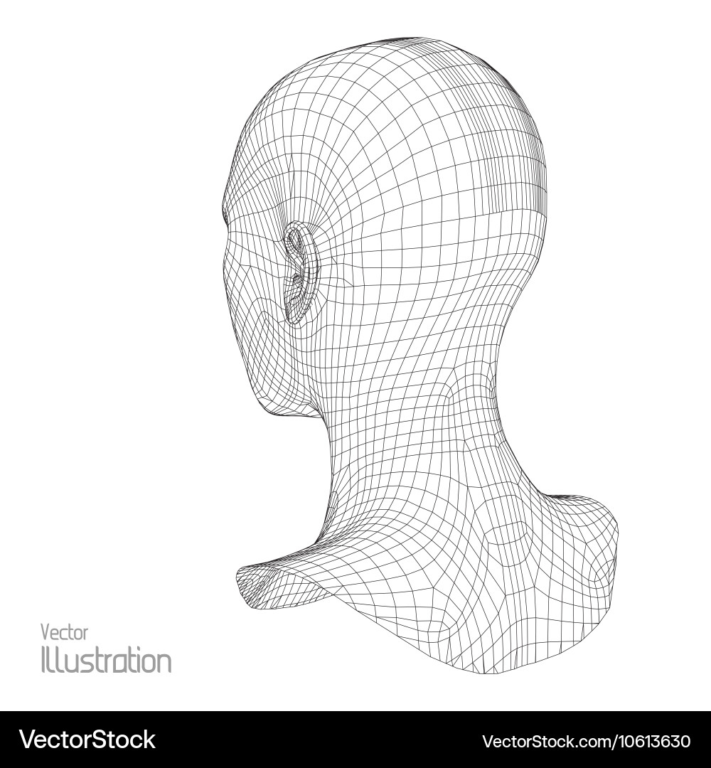 3D Human Head Wireframe Modell Lizenzfreies Vektorbild