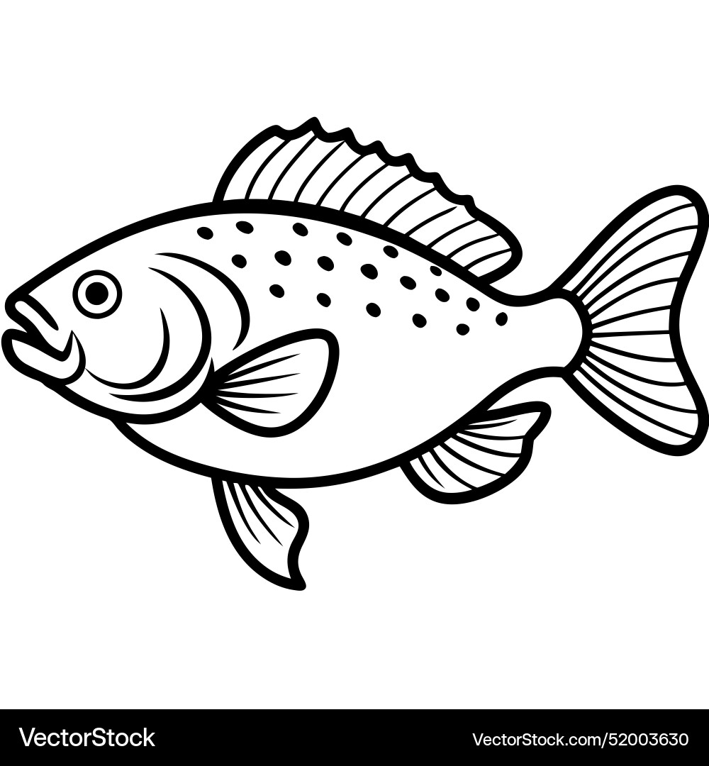 Crappie fish runs icon Royalty Free Vector Image
